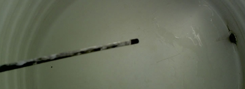 Aiwa Pest Control Dubai & Water Tank Cleaning Services | Water Tank ...